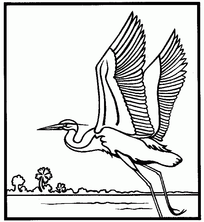 PLANSE DE COLORAT CU STARCI