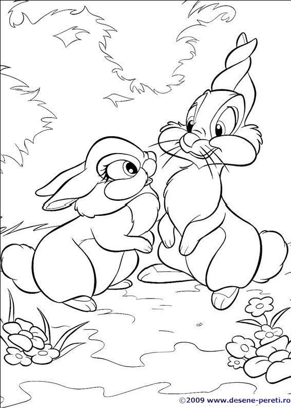 Bambi - PLANSE DE COLORAT