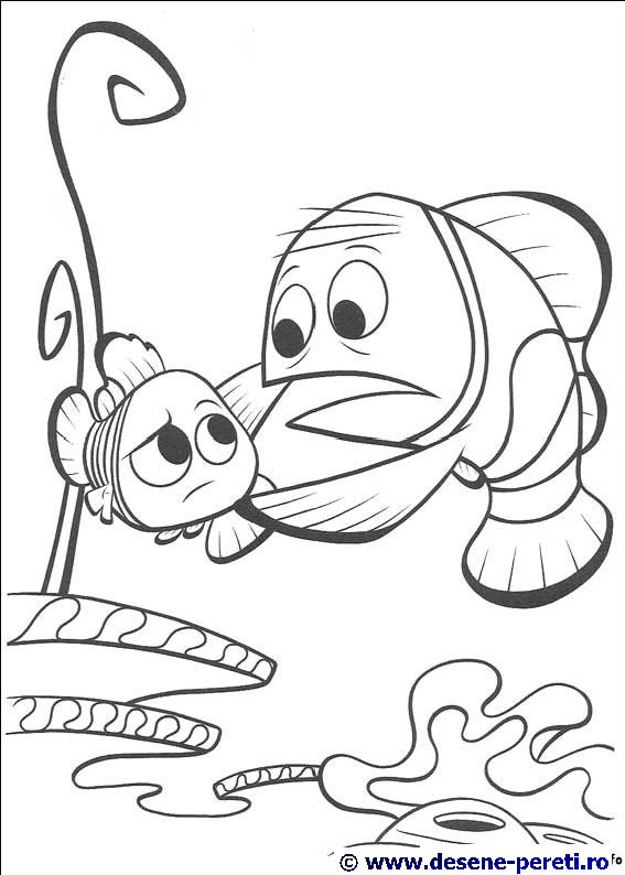 Finding Nemo - PLANSE DE COLORAT