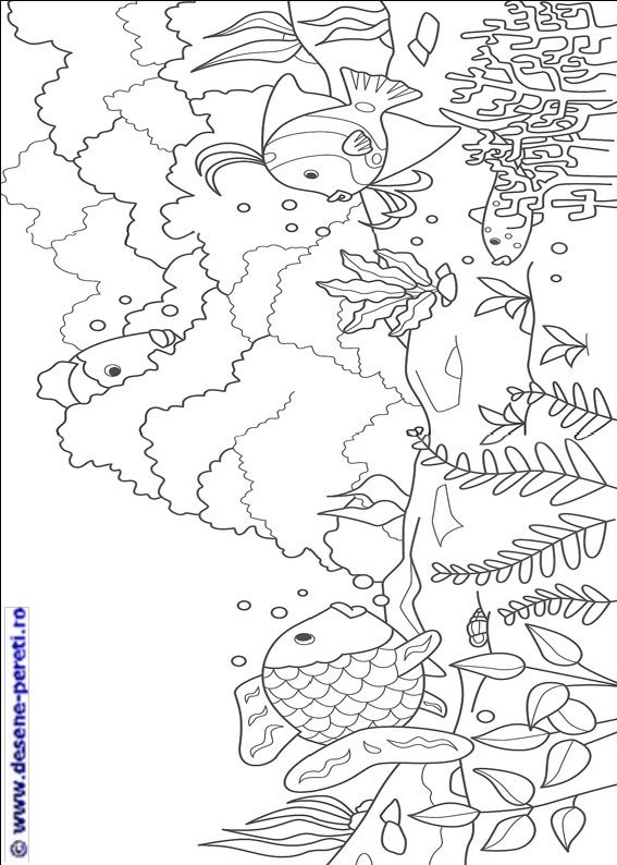 Pestele Curcubeu - PLANSE DE COLORAT