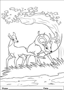 Bambi 2 - Planse de colorat si educative