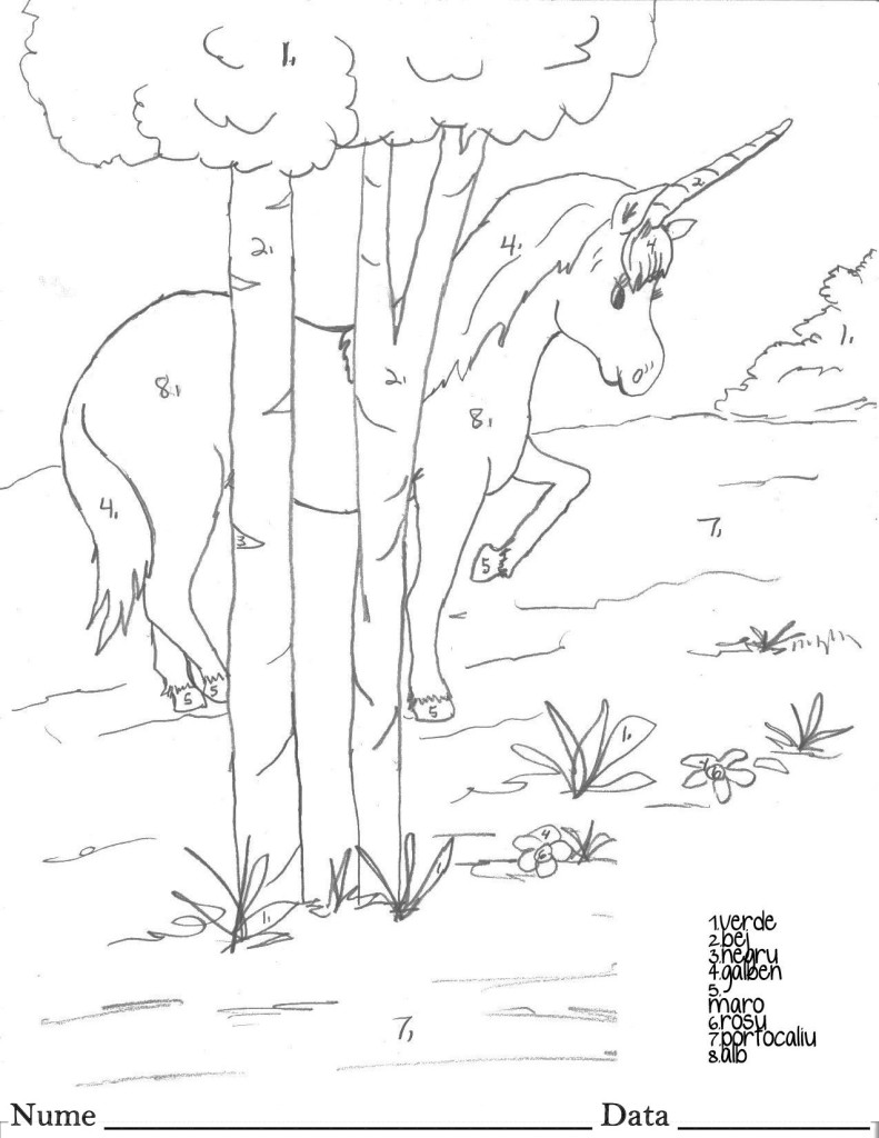 Coloreaza dupa numere - Planse de colorat si educative