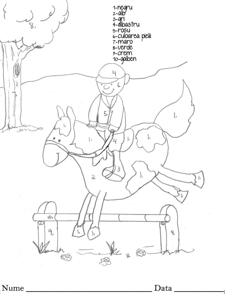Coloreaza dupa numere - Planse de colorat si educative