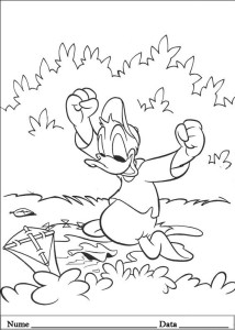 Donald - Planse de colorat si educative