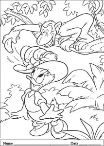 Donald - Planse de colorat si educative