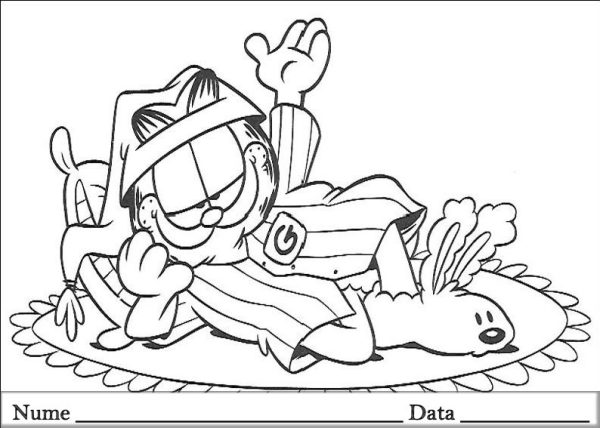 Garfield - Planse de colorat si educative