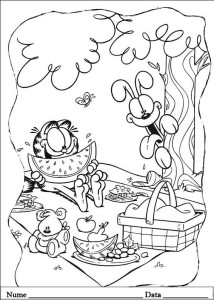 Garfield - Planse de colorat si educative