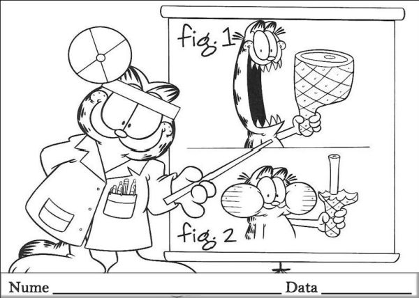 Garfield - Planse de colorat si educative