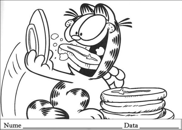Garfield - Planse de colorat si educative
