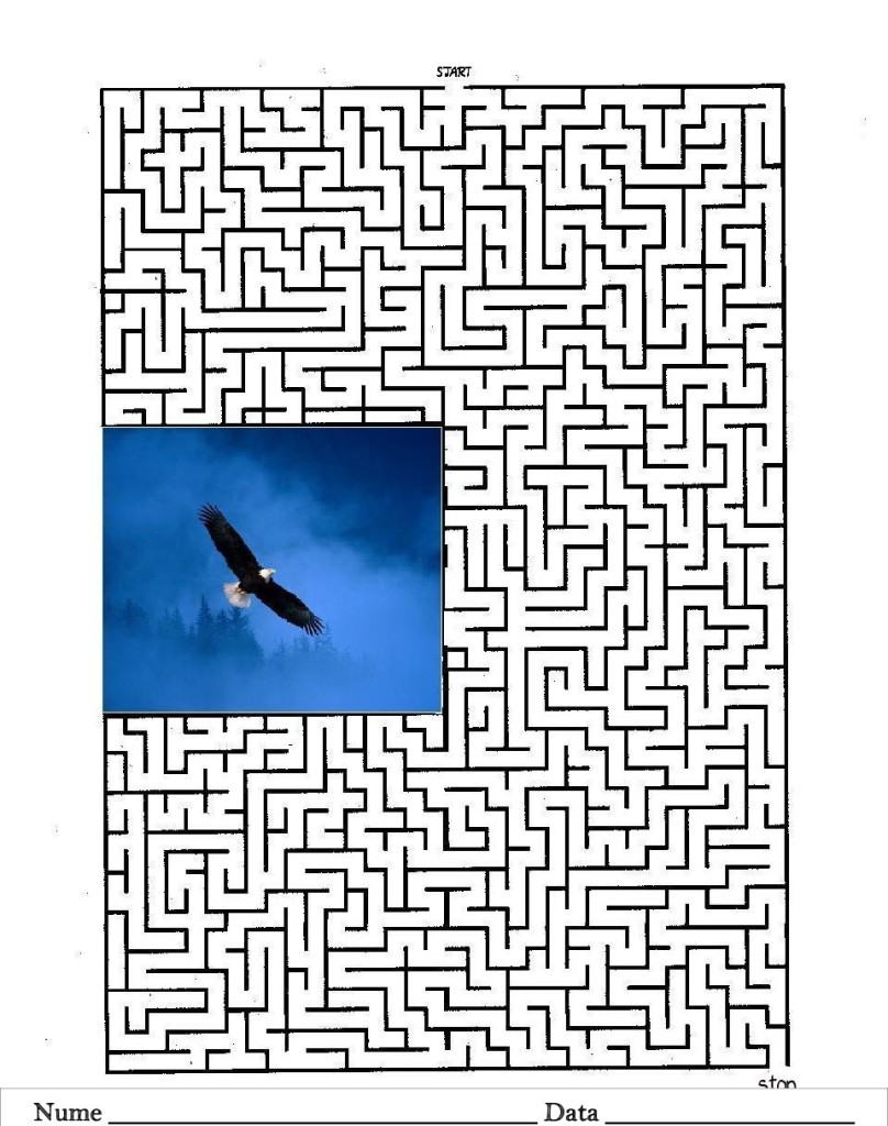 Labirint - Planse de colorat si educative