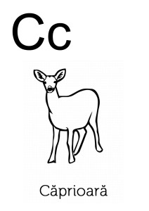 Litere animale - Planse de colorat si educative