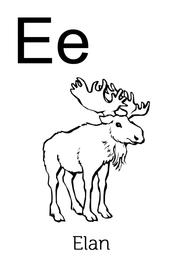 Litere animale - Planse de colorat si educative