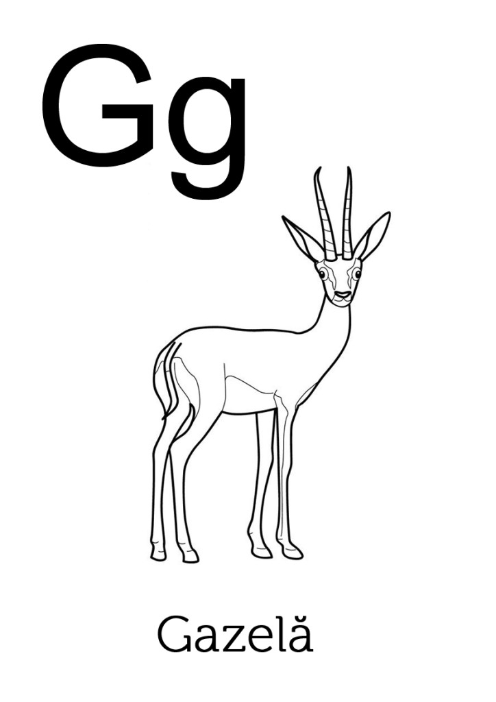 Litere animale - Planse de colorat si educative