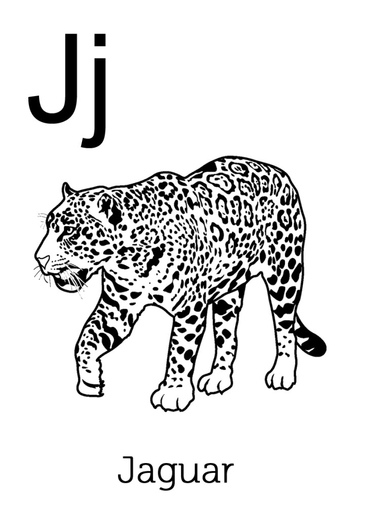 Litere animale - Planse de colorat si educative