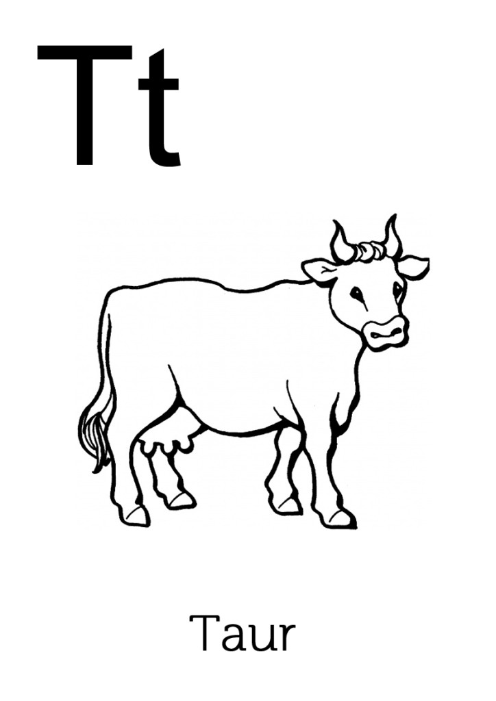Litere animale - Planse de colorat si educative