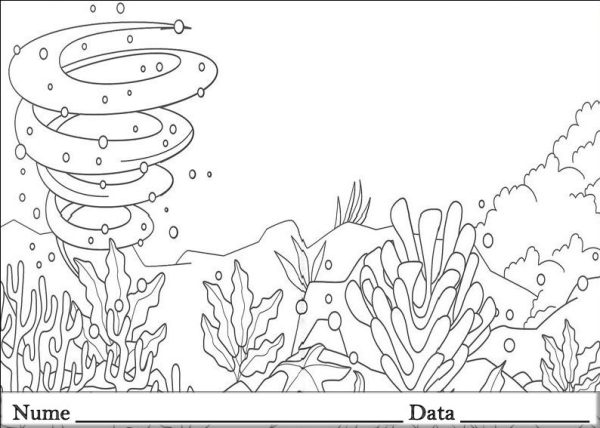 Pestele curcubeu - Planse de colorat si educative