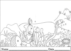 Pestele curcubeu - Planse de colorat si educative