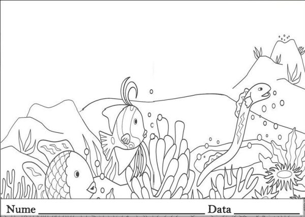 Pestele curcubeu - Planse de colorat si educative