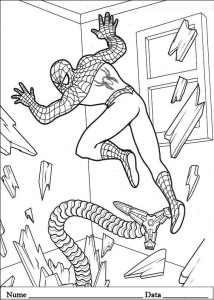 Spiderman - Planse de colorat si educative