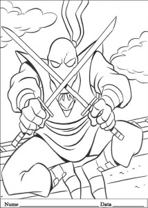 Testoasele ninja - Planse de colorat si educative