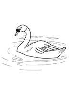 Lebada - Planse de colorat si educative