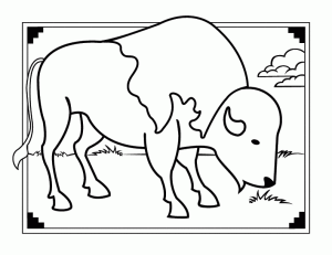 planse desene de colorat bizon 3 - Planse de colorat si educative
