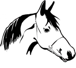 Cal - Planse de colorat si educative