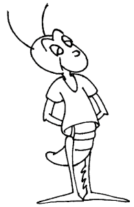 planse desene de colorat cal de iarba 1 - Planse de colorat si educative