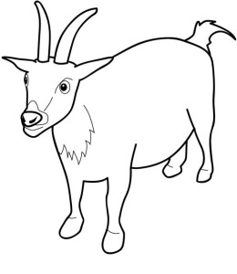 Capra - Planse de colorat si educative