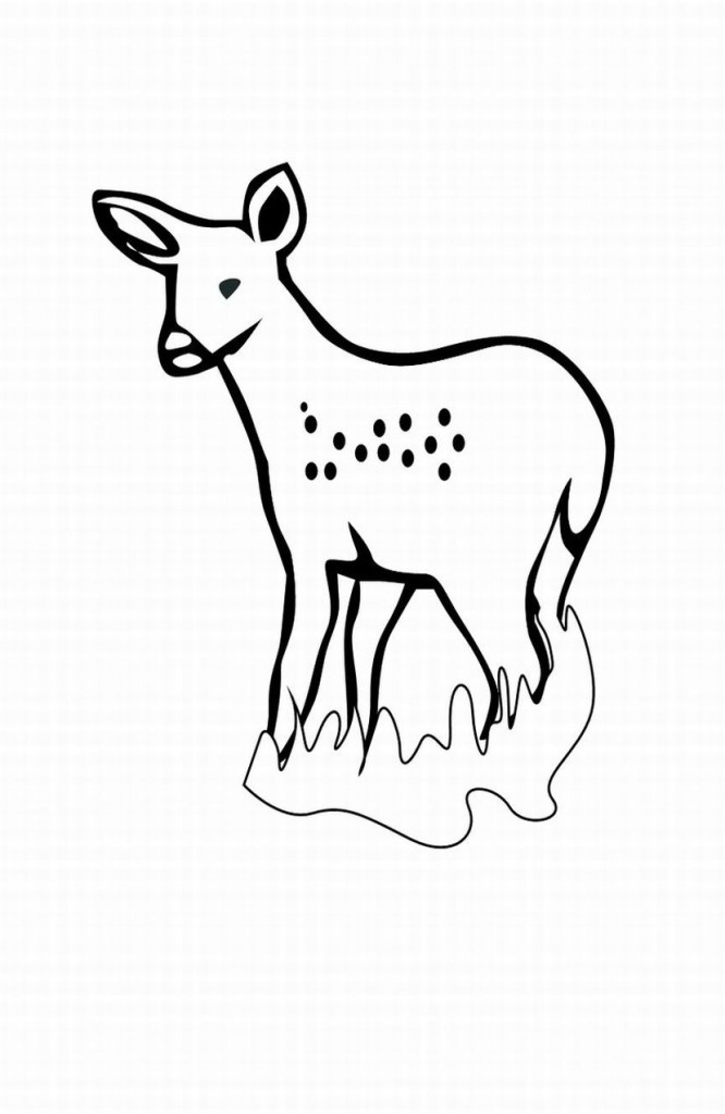Caprioara - Planse de colorat si educative