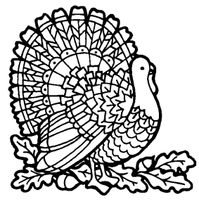 planse desene de colorat curcan 6 - Planse de colorat si educative