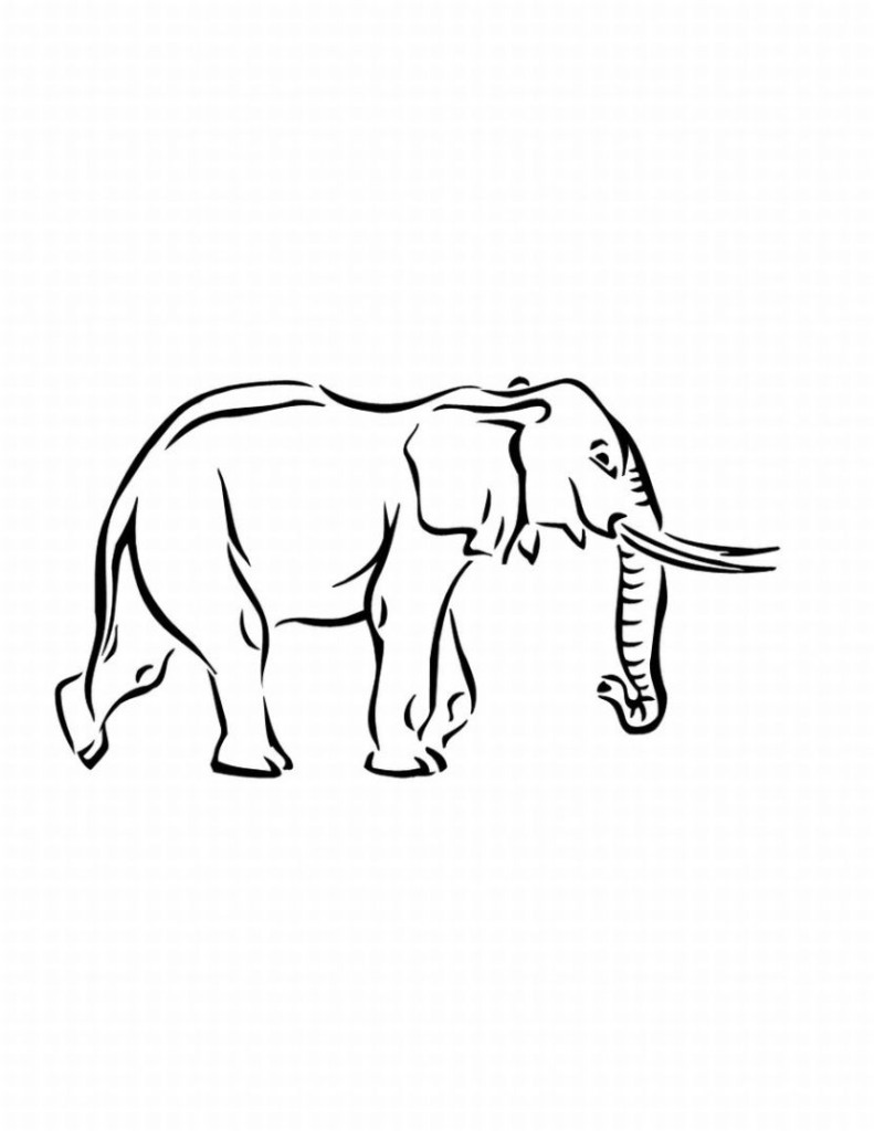 Elefant - Planse de colorat si educative