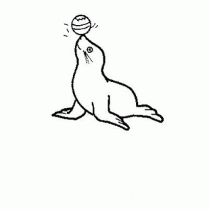 planse desene de colorat foca 2 - Planse de colorat si educative