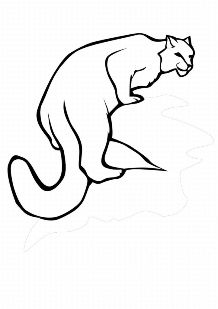 Leopard - Planse de colorat si educative