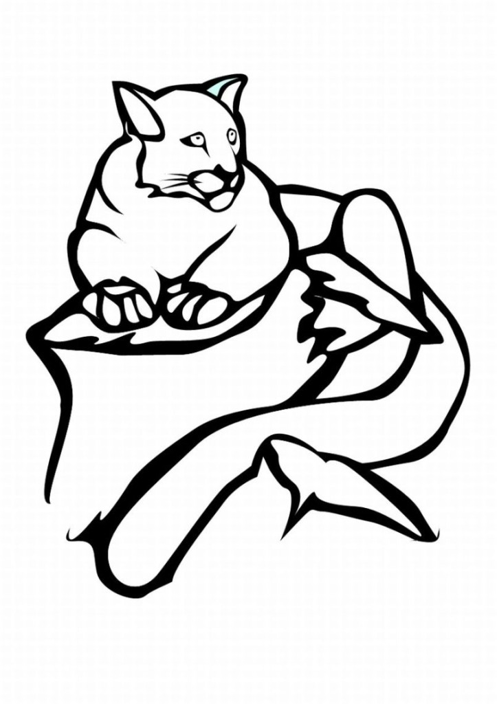 planse desene de colorat leopard 4 - Planse de colorat si educative