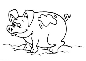 Porc - Planse de colorat si educative