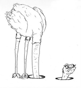 Strut - Planse de colorat si educative