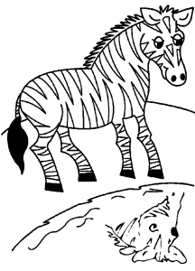 planse desene de colorat zebra 6 - Planse de colorat si educative